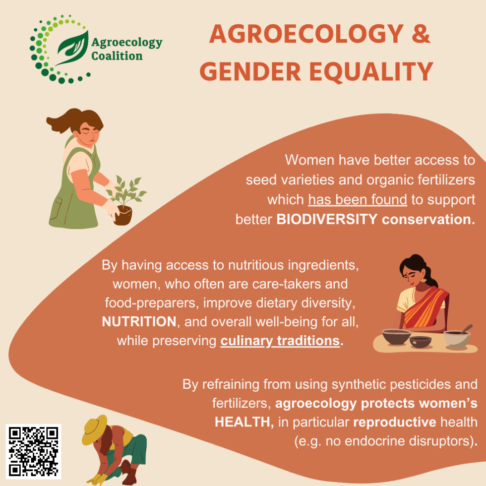 Deep dive into gender and agroecology | Agroecology Coalition