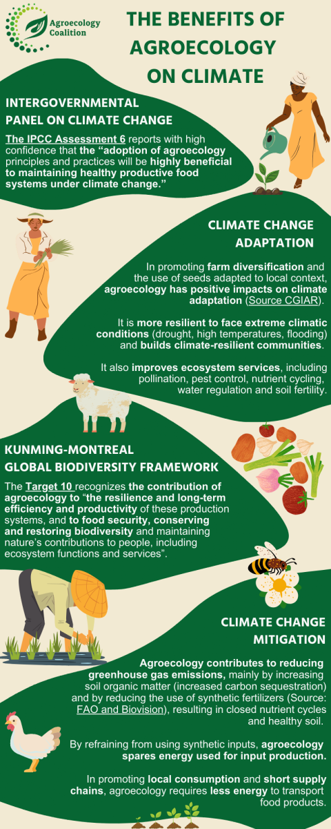 Why Agroecology | Agroecology Coalition