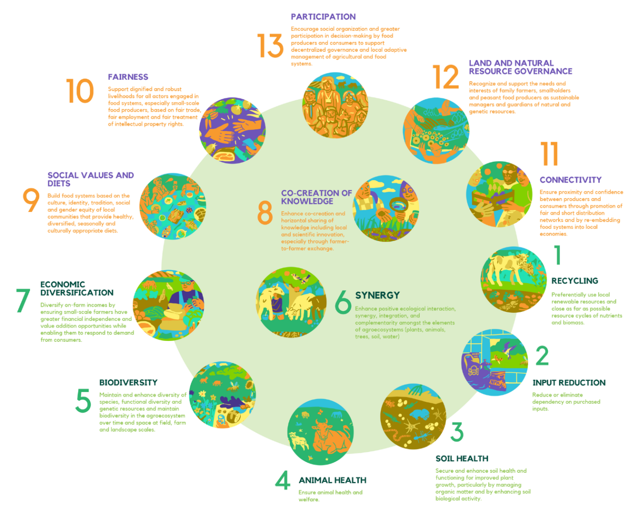 What is agroecology - Agroecology Coalition