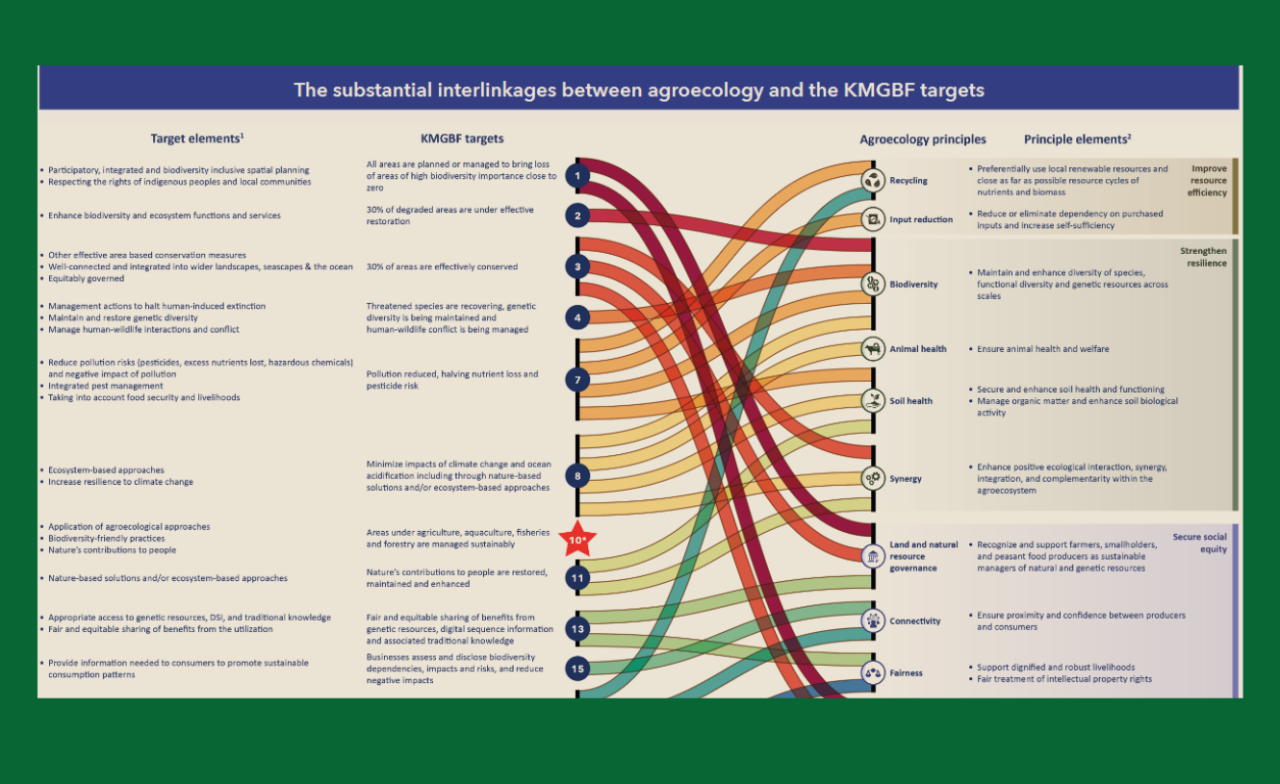 Infographics | Agroecology Coalition