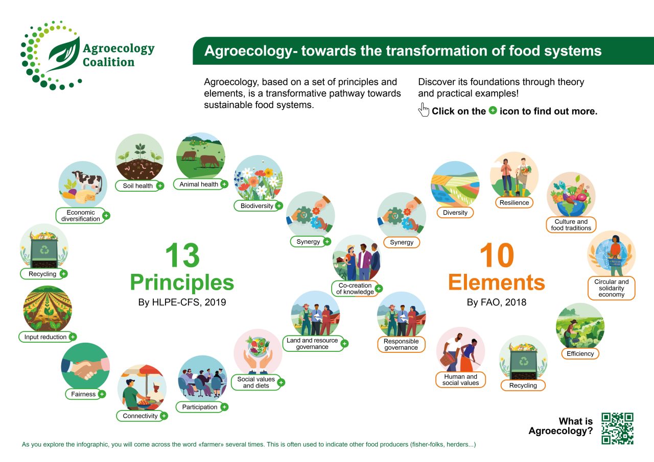 What is agroecology | Agroecology Coalition