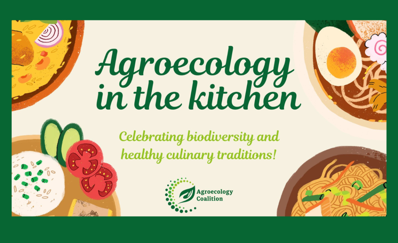Infographics | Agroecology Coalition
